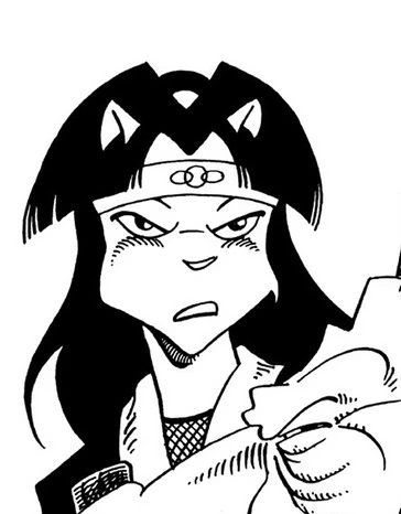 Chizu | Teenage Mutant Ninja Turtles Wiki | Fandom