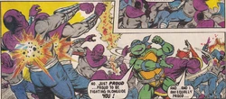 Dynamic Duo!/Gallery | TMNTPedia | Fandom