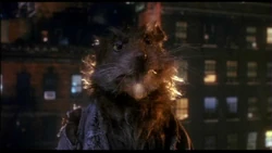 Splinter (1990 film series)/Gallery | TMNTPedia | Fandom