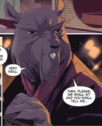 Splinter | TMNTPedia | Fandom