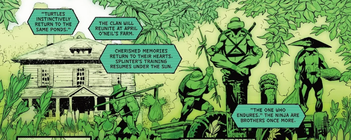 April O'Neil's Farm (Black, White & Green) | TMNTPedia | Fandom