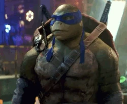 Leonardo (2014 film series)/Animations | TMNTPedia | Fandom