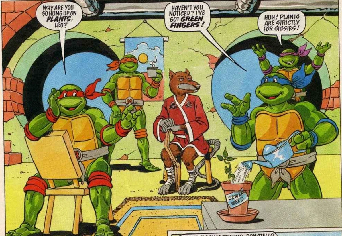Turtle Lair (Fleetway) | TMNTPedia | Fandom