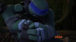 The Croaking/Gallery | TMNTPedia | Fandom