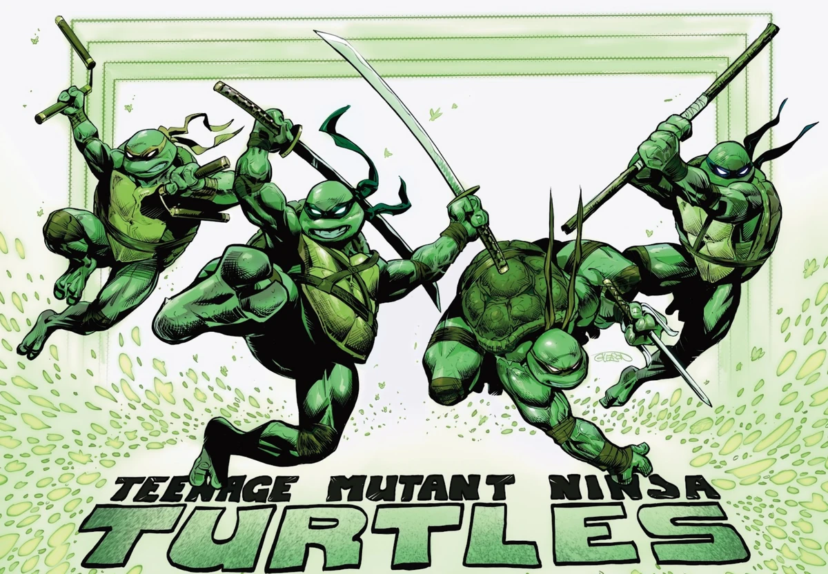 Ninja Turtles (Black, White & Green) | TMNTPedia | Fandom