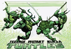 Ninja Turtles (team) | TMNTPedia | Fandom