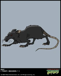 Rats/Gallery | TMNTPedia | Fandom