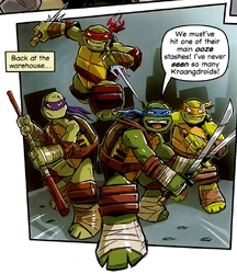 Ninja Turtles (team) | TMNTPedia | Fandom