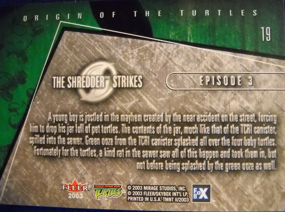 Origin of the Turtles 3 Episode 3 | TMNTPedia | Fandom