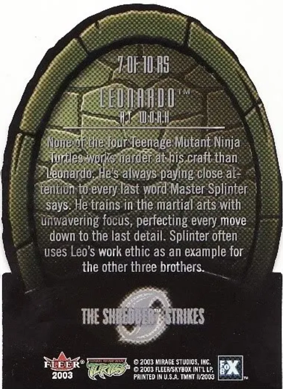 RS Leonardo At Work | TMNTPedia | Fandom
