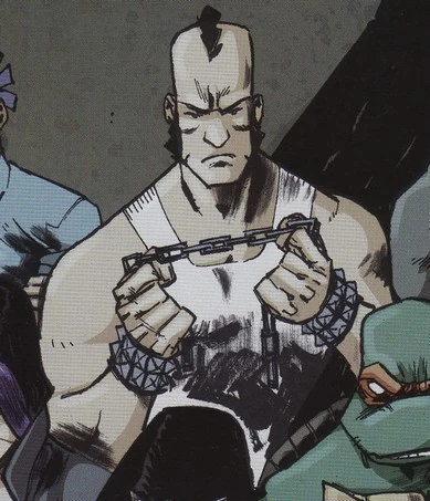 Link | Teenage Mutant Ninja Turtles Wiki | Fandom