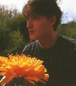 Freddy (1990 film series) | TMNTPedia | Fandom