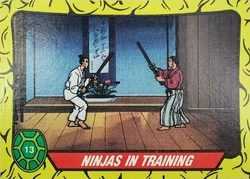 Ninjas in Training | TMNTPedia | Fandom