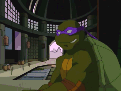 Donatello Splinterson (2003 TV series)/Animations | TMNTPedia | Fandom