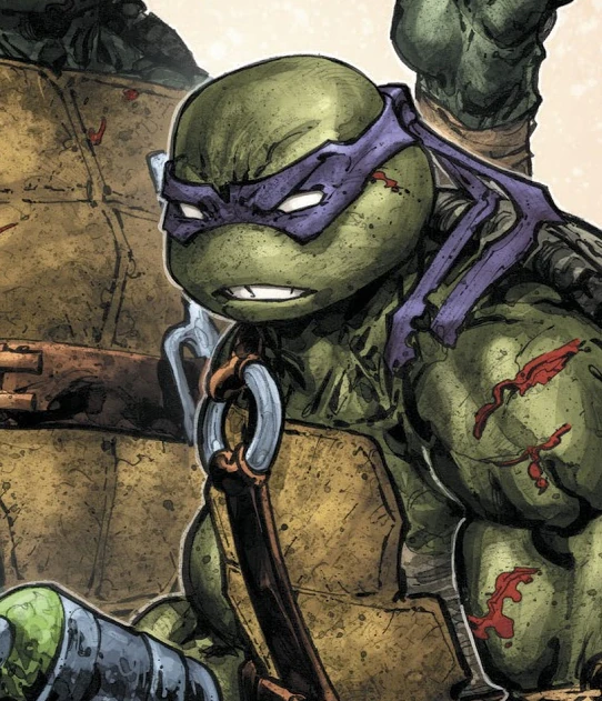 Donatello (Batman/TMNT) | TMNTPedia | Fandom