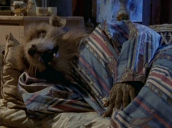 Splinter (The Next Mutation)/Gallery | TMNTPedia | Fandom