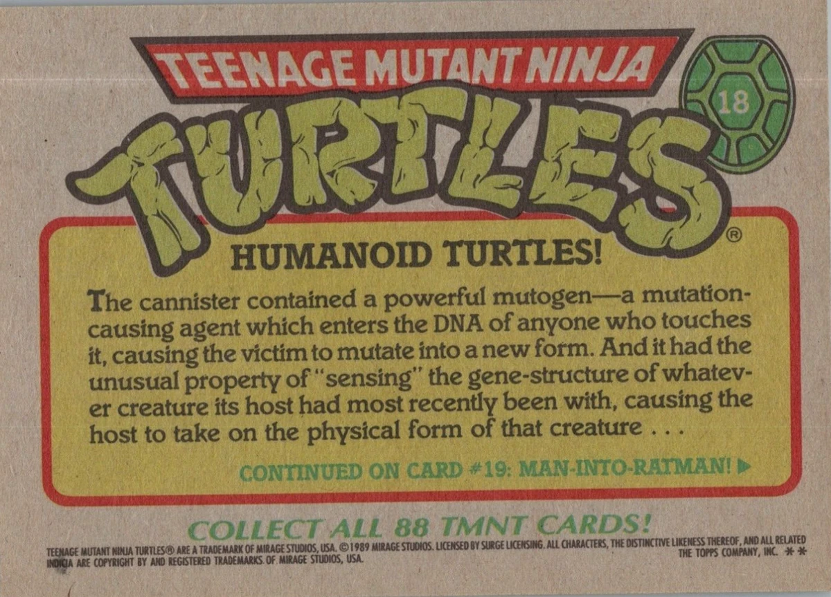 Humanoid Turtles! | TMNTPedia | Fandom