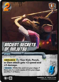 Ancient Secrets Of Ninjutsu (47/186) | TMNTPedia | Fandom