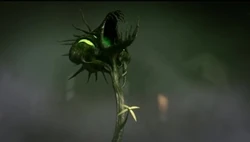 The Creeping Doom/Gallery | TMNTPedia | Fandom