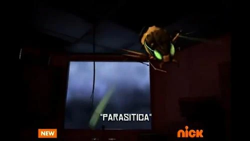Parasitica Wasps (2012 TV series)/Gallery | TMNTPedia | Fandom