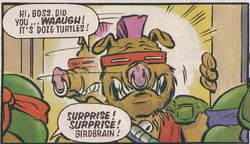 The Un-Nice Ice-Cream Scheme!/Gallery | TMNTPedia | Fandom