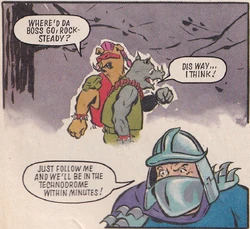 Witches Warning!/Gallery | TMNTPedia | Fandom