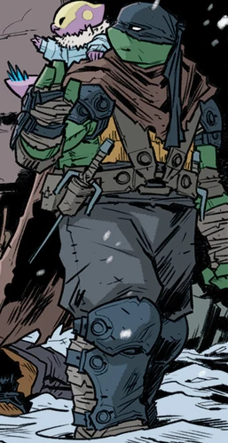 Raphael (IDW) | TMNTPedia | Fandom