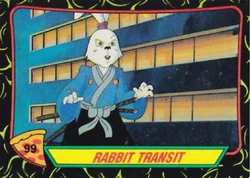 Rabbit Transit | TMNTPedia | Fandom