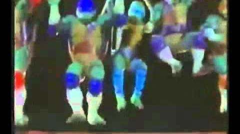 Ninja Turtles: The Next Mutation Theme Song | Teenage Mutant Ninja ...