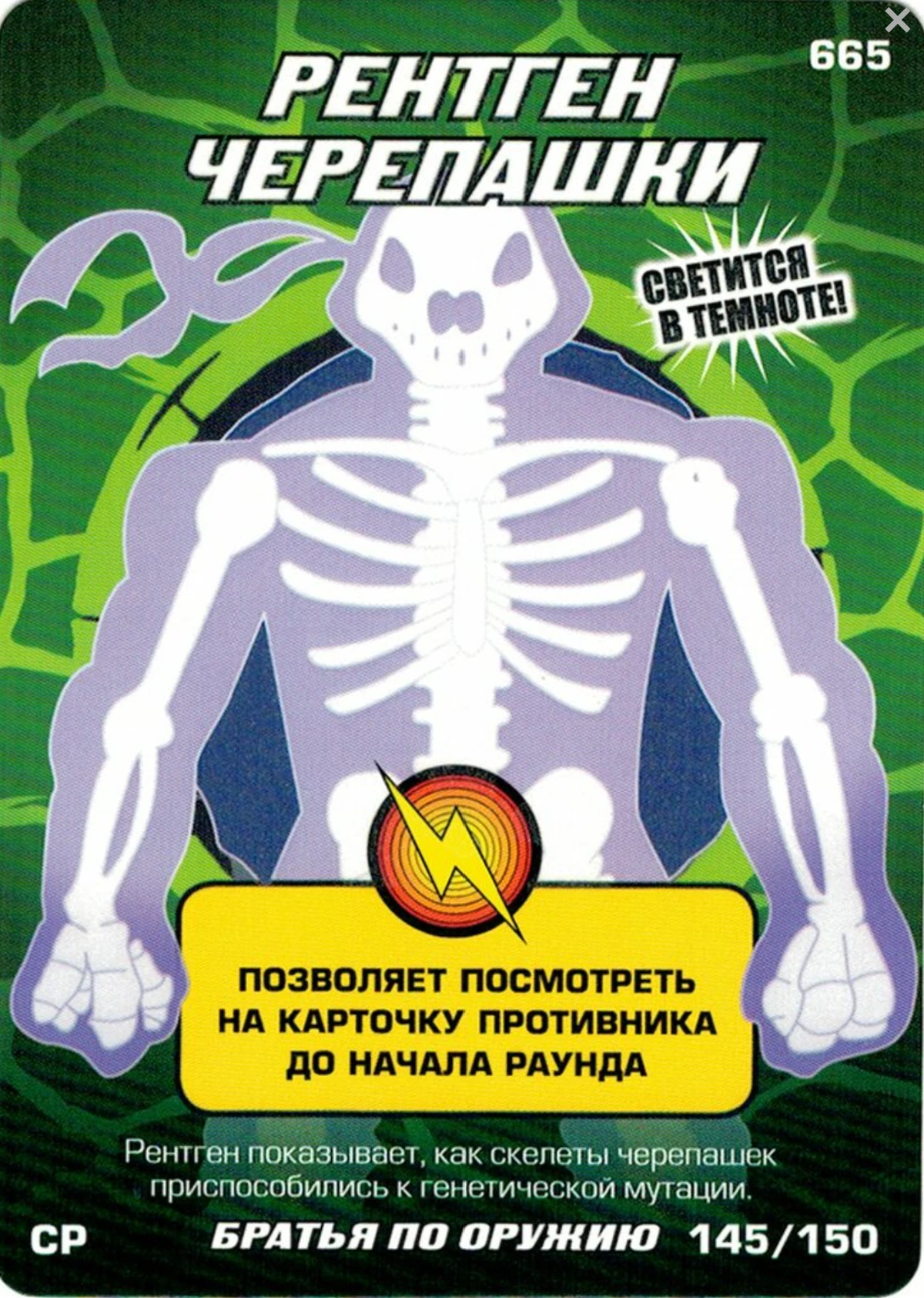 X-Ray of the Turtle | TMNTPedia | Fandom