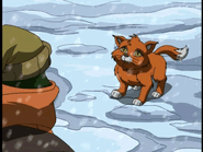 Klunk (2003 TV series)/Gallery | TMNTPedia | Fandom