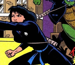 Nobuko (Archie)/Gallery | TMNTPedia | Fandom