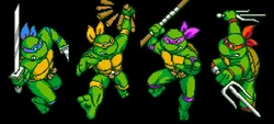 Ninja Turtles (team) | TMNTPedia | Fandom