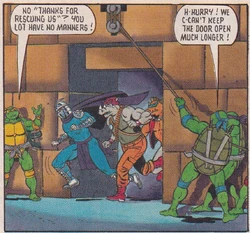 Egyptian Escapade/Gallery | TMNTPedia | Fandom