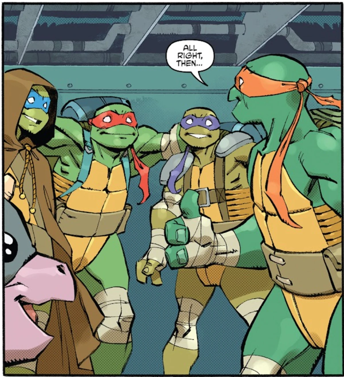 Ninja Turtles (TMNT 20 / 20) | TMNTPedia | Fandom