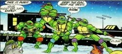 Ninja Turtles (team) | TMNTPedia | Fandom