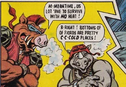 Viking Turtles/Gallery | TMNTPedia | Fandom