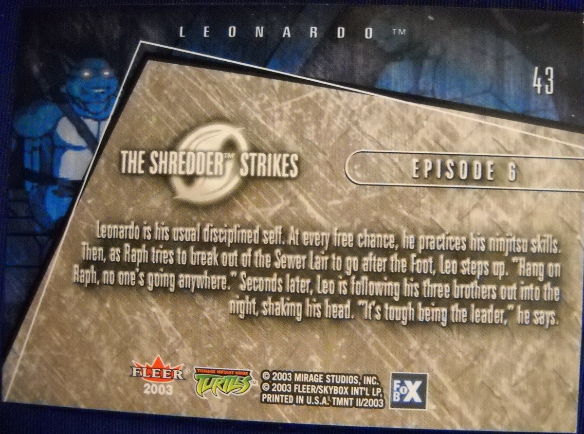 Leonardo Episode 6 Tmntpedia Fandom