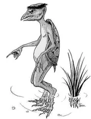 Kappa | Teenage Mutant Ninja Turtles Wiki | Fandom