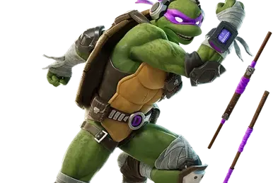 ninja turtle stance