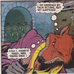 Miss Turtle 1991/Gallery | TMNTPedia | Fandom