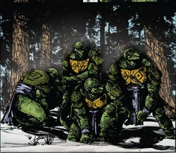 Ninja Turtles (team) | TMNTPedia | Fandom