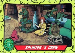 Splinter’s Crew | TMNTPedia | Fandom