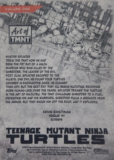Card 1 TMNT Volume 1 - Issue 1 (Art of TMNT) | TMNTPedia | Fandom