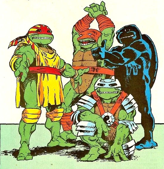 Wrestling Turtles | Teenage Mutant Ninja Turtles Wiki | Fandom
