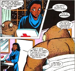 Chameleons are Forever/Gallery | TMNTPedia | Fandom