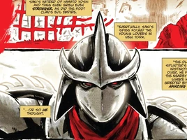 Oroku Saki (Ronin-verse) | TMNTPedia | Fandom