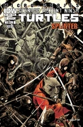 Splinter (IDW issue) | TMNTPedia | Fandom