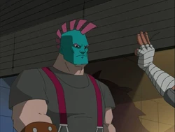 Robin | TMNTPedia | Fandom