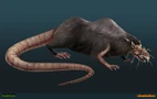 Giant rats (2012 TV series)/Gallery | TMNTPedia | Fandom